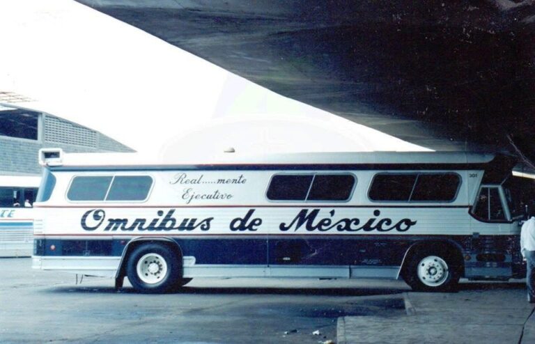 Autobuses Ómnibus de México: Horarios, Boletos, Tarifas, Teléfonos 【2024】